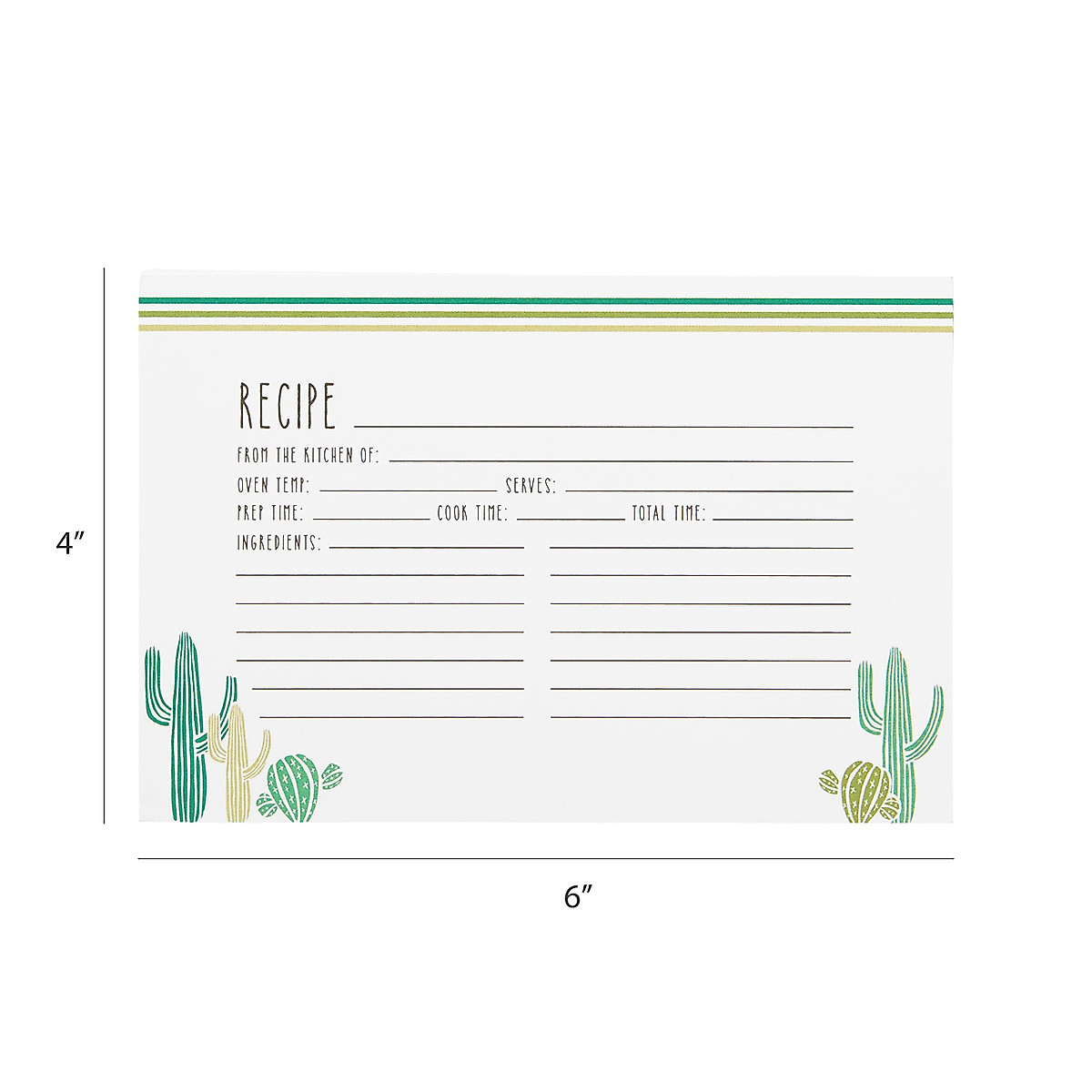 C.R. Gibson Cacti Double Sided Recipe Card Set, 4" W x 6" L, Multicolor