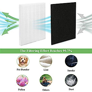 GuanQiao 1512hh Filter Compatible with Coway AP1512HH AP-1512HH, 3304899 AP1512HH AP1512, Include 2 HEPA Filters 8 Pre Filters