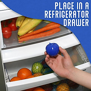 Bluapple Classic Produce Saver 15-Month Bundle, Vegetable & Fruit Fresh Produce Protector, Ethylene Gas Absorber, Food Freshness Extender, Fresh Fruit Preserver, Vegetable Saver, USA-Made BPA-Free