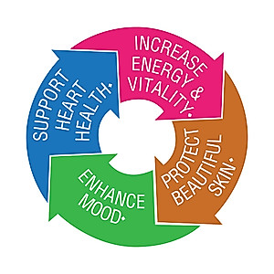 Bluebonnet Nutrition Ladies’ ONE 40+ Whole Food-Bed Multiple, Women Multivitamin for Women 40+, Soy-Free, Non-GMO, Gluten Free, 30 Vegetable Capsules, 30 Servings