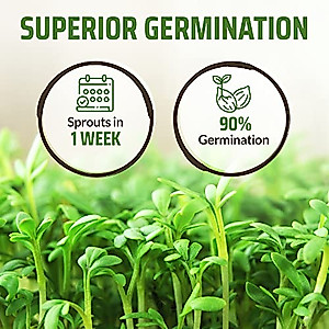 Rooted Acre 8 Varieties Pepper Seeds - Non GMO, USA, Heirloom Hot Pepper Seeds inc Ghost and Jalapeno - High Germinating Pepper Seeds for Planting Home Garden: Serrano, California Wonder, and More