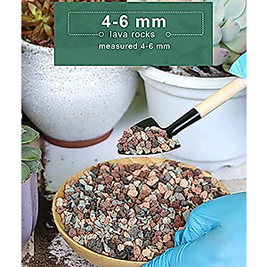 Succulent and Cactus Soil Gritty Mix Rocks, 6lb Bonsai Volcanic Gravel, Indoor Plant Drainage Lava Stones, Small Decorative Potting Pebbles for Terrarium Fairy Gardening and Houseplants Top Dressing