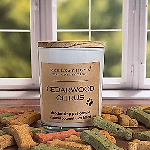 Red Leaf Home | Cedarwood Citrus Pet Deodorizing Jar Candle | Large | Gift, Perfect for Dog & Cat Owners | Contains DeoBoost | 15.5oz