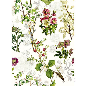 Garnier-Thiebaut, Mille Hellebore, Blanc French Christmas Kitchen/Tea Towel, 100% Cotton