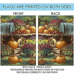 Toland Home Garden 12x18 Inch Double Sided Garden Flag Fall Flag, Farm Pumpkin Fall Garden Flag House Flag For Outdoor Yard Decoration