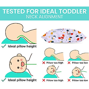 Via La Vie My Dream Pillow Small Toddler Pillow with Pillowcase - 100% Cotton Fabric with Polyester Fill Hypoallergenic Sleeping Pillow for Kids - Machine Washable, 13x18 Inches