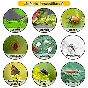 Giant Fly Traps Sticky Fly Trap Roll 30 Feet MAX Strength Fly Catcher, Non Toxic, Poisonous Bug Insect Sticky Flies and Other Bugs, Indoors & Outdoors 1PCS, white