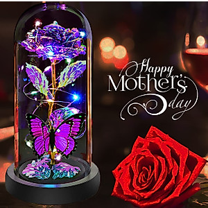 Mothers Day Flowers Gifts Mom, Rose Flower Mom Gifts Wife Grandma Her, Galaxy Crystal Light Up Rose Flowers in A Glass Dome Purple, Mother Day Presents from Daughter Butterfly Birthday Gifts for Women