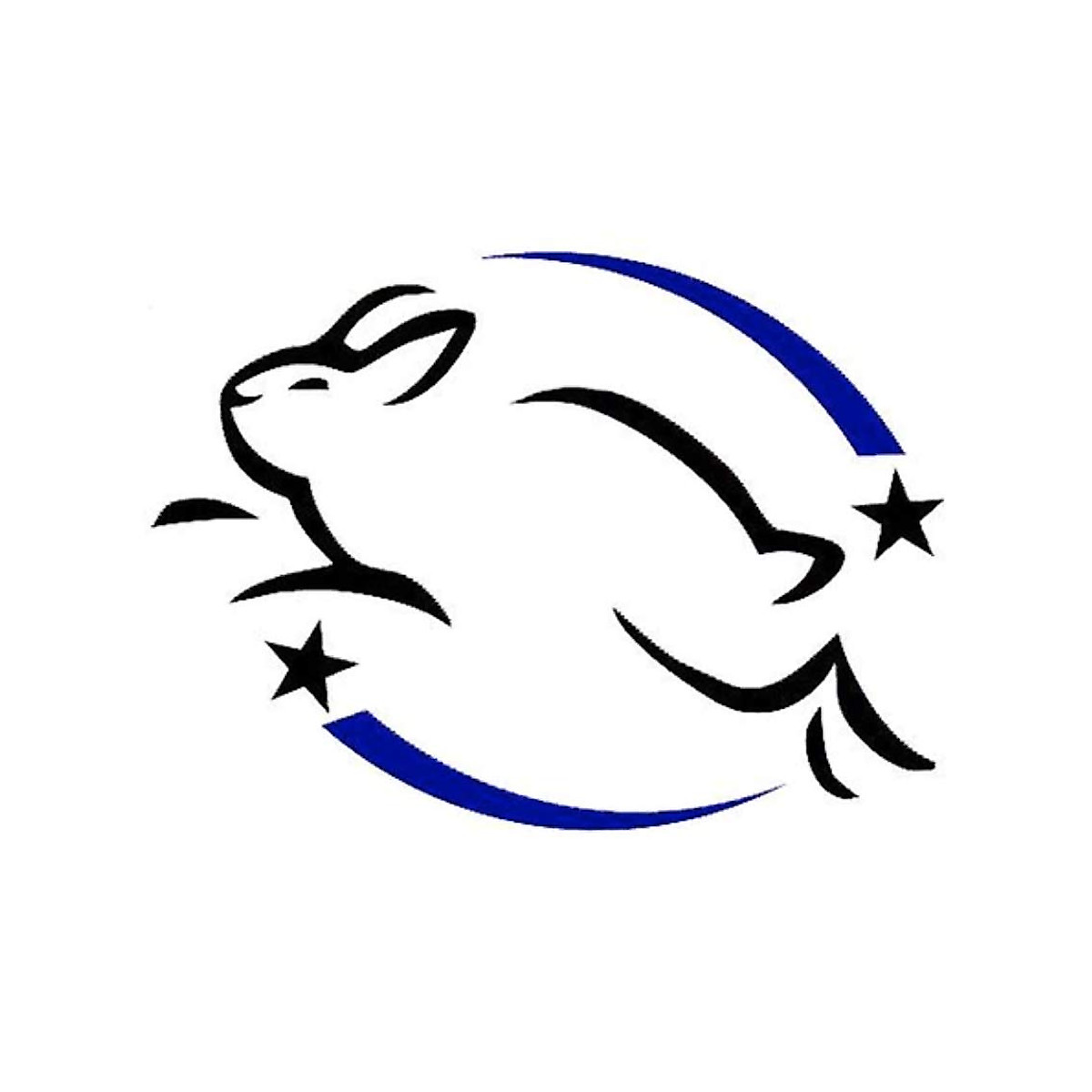 Mineral Mascara by EVXO - All Natural, Organic Ingredients, Hypoallergenic, Vegan, Cruelty Free, Gluten Free (Black)