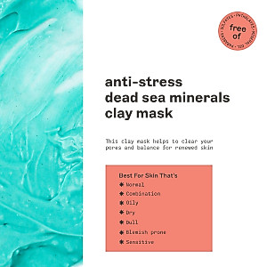 FREEMAN Facial Mask Variety Pack: Oil Absorbing and Anti Stress Clay, Detoxifying Charcoal Mud, Clearing Peel Off, Hydrating Gel Cream Beauty Face Masks, 6 count