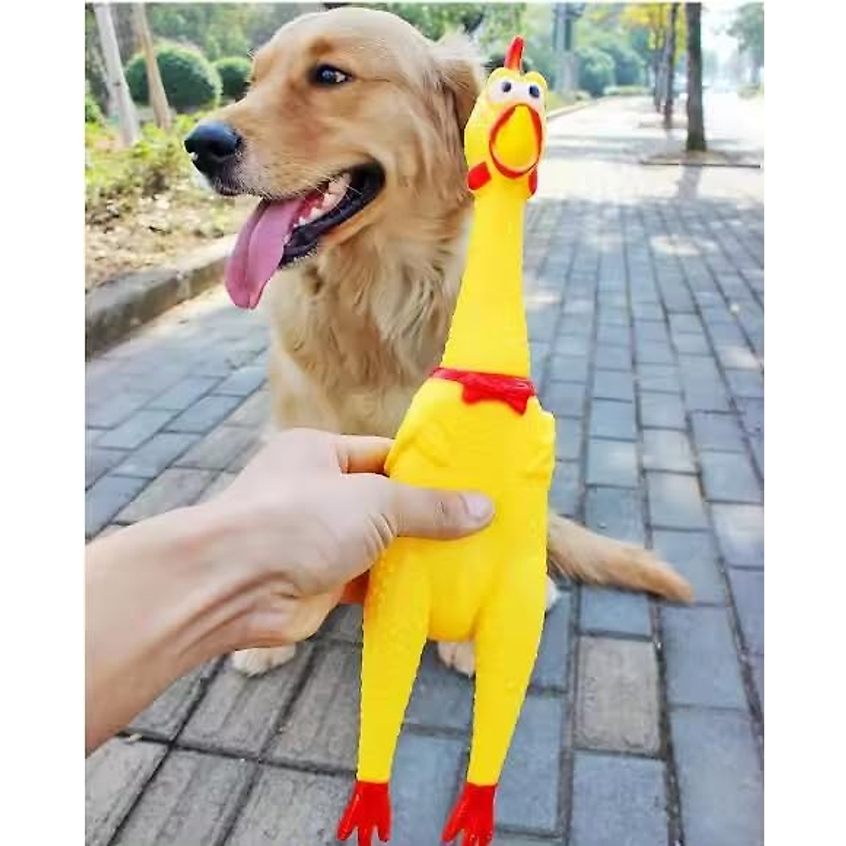 Screamin' Chicken Dog Toy with Squeaker, Durable & Interactive, 15.75 Inch - Perfect for Small, Medium & Large Dogs - American Owned Small Business