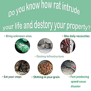 ITISBLTN 3 Pack Mouse Traps Extra Large 47” L x 11“ W Indoor Outdoor Glue Mouse Trap Strong Adhesive Mice Rat Traps for Home, Garden, Backyard, Garage, Storage Places