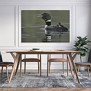 Common Loon with Chick on Water Back Call Picture Poster Wall Decoration Poster in Kamloops, British Canvas Painting Posters And Prints Wall Art Pictures for Living Room Bedroom Decor 24x36inch(60x90