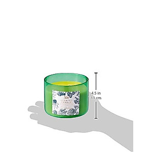 Large Citronella Candles Outdoor Indoor Candle Made with Natural Soy and Essential Oils | 3 Wick Candle 80 Hour Burn | 15.8 oz Highly Scented Aromatherapy Candles for Home | Balcony & Patio Candle