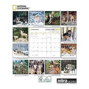 2014 National Geographic Wolves Deluxe Wall