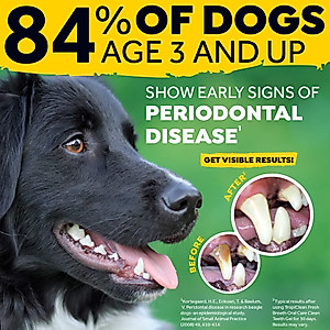 TropiClean Fresh Breath for Dogs | No Brush Dental Gel for Dogs | Dog Dental Gel & Toothpaste for Plaque, Tartar & Stinky Breath | Made in the USA | 4 oz.