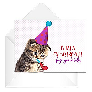 Funny Cat Pun Birthday Card Pack / 24 Cat Birthday Cards With White Envelopes / 4 7/8" x 3 1/2" Cats Birthday Note Cards/Hilarious Cute Kitten Birthday Greeting Cards