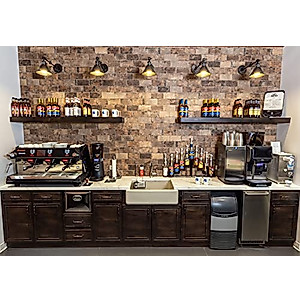 Scotsman CU0415MA-1 Essential Ice Cube-Style Ice Maker with Bin, Stainless Steel, 115-Volts, Gray Stainless Steel