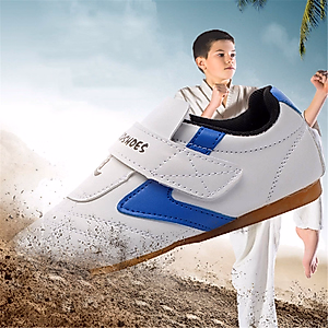 (6 Pack) SD Wafer Media for The ColecoVison/ADAM, Atari 5200, Atari 2600