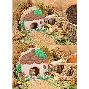 JFWOD Natural Hamster Bedding Flowers Herbs Sprays Treat Cereal Grain for Cage Habitat Enclosure Decor Hamster Chews for Dwarf Syrian Gerbils Mice Mouse Rat Forage Pet Hamster Accessories