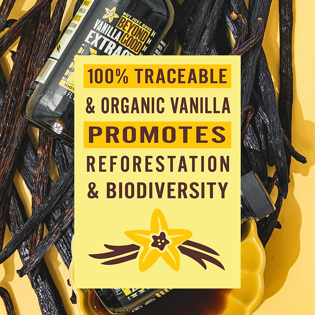 Beyond Good Pure Vanilla Extract | Madagascar Vanilla Extract | Made from All Natural Bourbon Vanilla Beans | For Baking, Desserts, Home Cooking and Chefs (2 fl oz)