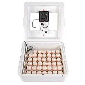 Little Giant® Digital Circulated Air Incubator with Automatic Turner | 41 Eggs | Egg Incubator with Fan and Egg Turner