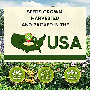 35,000+ Seeds in Bulk 2.1oz Packet Growing Wild Flowers to Attract Bees, Butterflies and Birds, 30 Annual Perennial Wildflower Seeds Mix for Planting Indoor & Outdoors