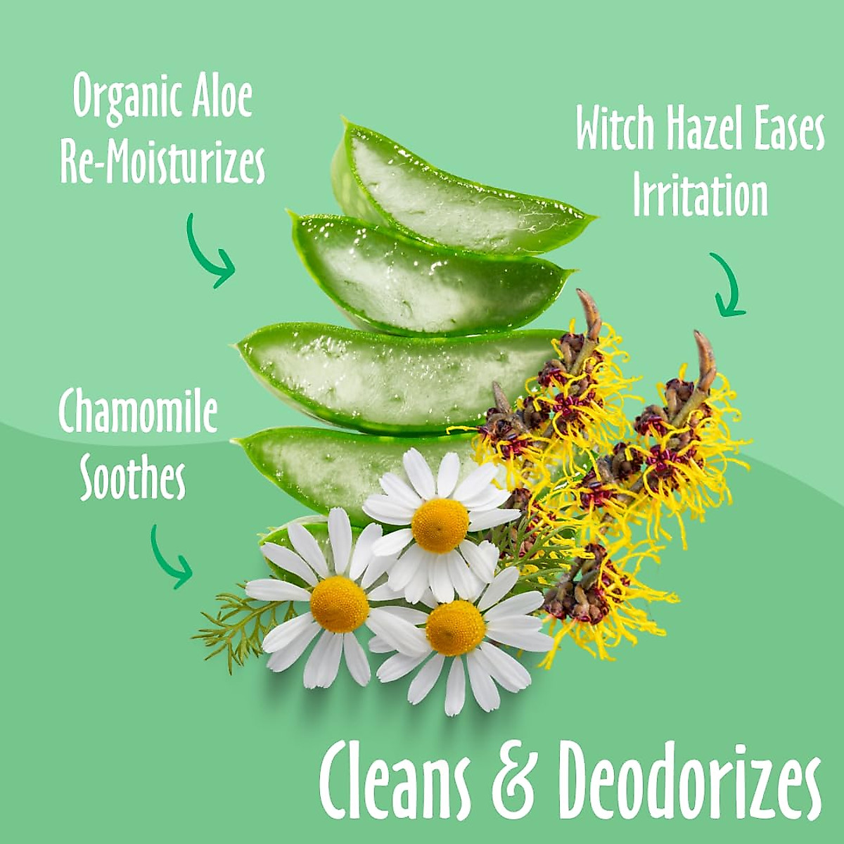 earthbath, Dog Ear Wipes - Gentle Dog Ear Cleaner, Best Pet Wipes for Dogs & Cats, Made in USA, Cruelty-Free Dog Wipes, Keep Your Pet's Ears Naturally Clear & Infection Free - 25 Count (1 Pack)