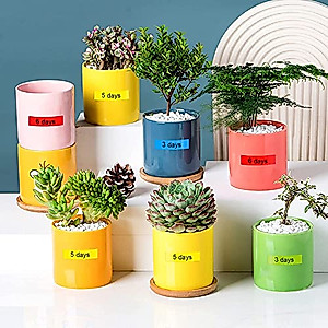 6 Pack Compatible Label Tape Replacement for Brother Ptouch Label Maker Tape 12mm 0.47 Laminated Tze Tape TZe231 131 431 531 631 731(White/Clear/Red/Blue/Yellow/Green) for PT-D210 H110 PTD200