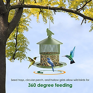 Outdoors Hanging Metal Bird Feeder: Digipettor 4 lbs Large Capacity Mesh Squirrel-Proof Wild Bird Seed Feeder for Garden Yard Outdoors Decoration, Green