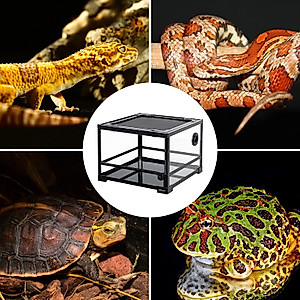 REPTIZOO 18 Gallon Glass Reptile Terrarium 18"x18"x12" Knock Down Reptile Tank with Front Opening Door,Reptile Enclosure for Leopard Gecko, Lizard, Tarantulas, Arboreal Frog