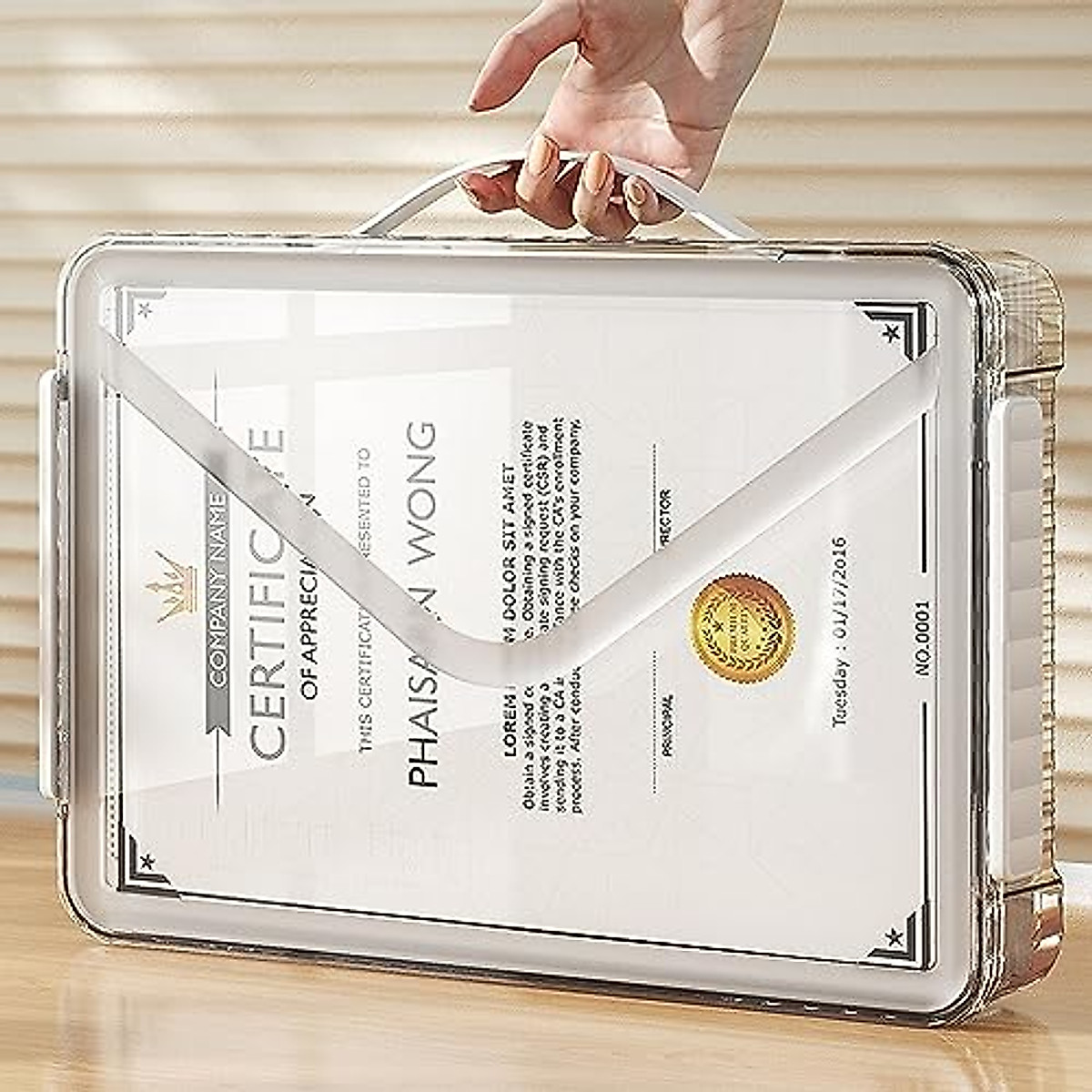 LIPCHEEGO A4 Scrapbook Paper Storage, Photo Storage Box, Plastic File Box (2Pack, Blue)