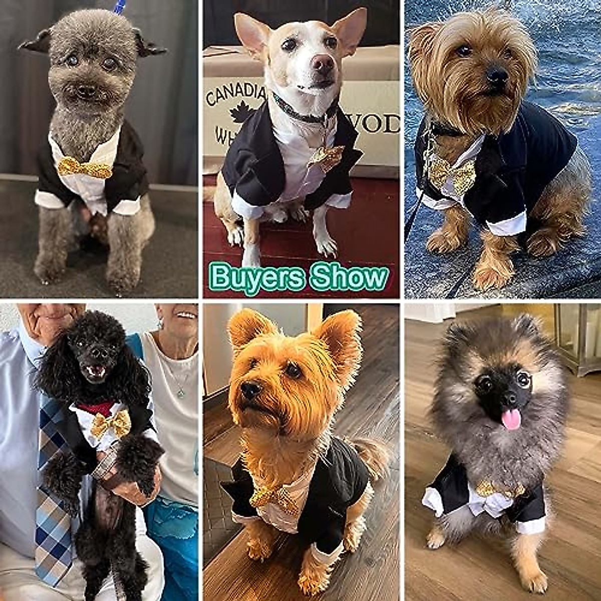 Dog Tuxedo, Formal Dog Clothes Shirt Costume Wedding Attire Party Bow Tie Suit, Dog Outfit for Small Medium Large Dogs Cats, Halloween Pet Costumes Birthday Puppy Clothing Christmas Apparel (XXL)