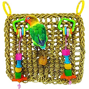 SunGrow Bird, Small Animals & Rabbit Foraging Wall Chew Toy with Hanging Hook, Seagrass Woven Mat with Colorful Wooden Blocks, Grind Teeth