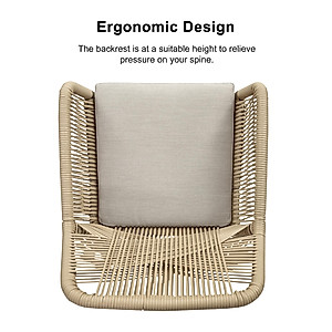 PURPLE LEAF 2 Pieces Outdoor Patio Dining Chairs All-Weather PE Rattan Patio Furniture with All Aluminum Frame for Lawn Garden Backyard Deck, Champagne