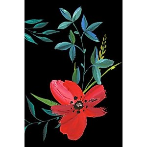 Discrete Password Book With Alphabetical Tabs | Login Password Book 4x6" Pocket Notebook (10.16 x 15.24cm): Address Book for Passwords, Websites and Emails