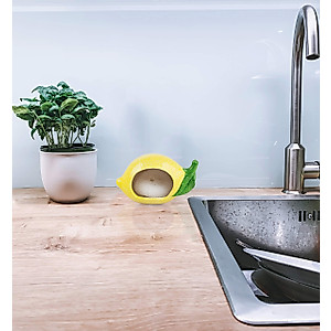 Farmhouse Decor Kitchen Sink Scrubby Holder Ceramic - With Nylon Dish Scrubber (Lemon)