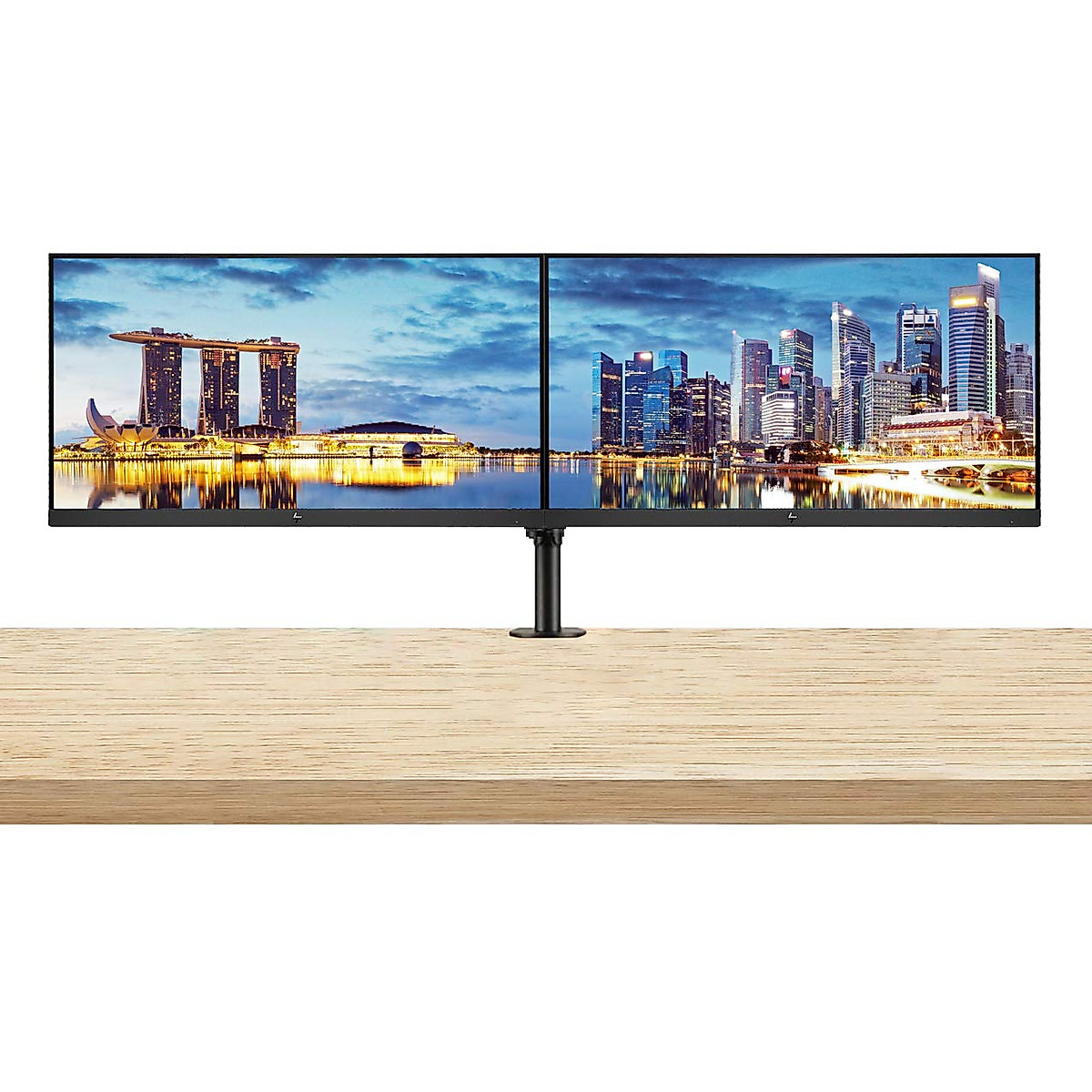 HP EliteDisplay E24q G4 24 Inch IPS LED Backlit Monitor 2-Pack Bundle with Fully Adjustable Desk Mount Monitor Stand