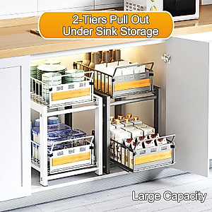 Fangtueh Under Sink Organizer, 2-Tier Pull Out Under Sink Organizers and Storage, Stainless Steel Under The Sink Organizer Bathroom Kitchen Sink Cabinet Organizer Undersink Organization, 1Pack Black