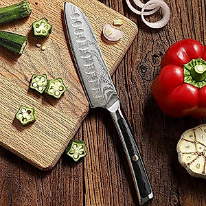 Sunnecko Kitchen Knife Japanese Damascus Santoku Knife 5 Inch,High Carbon Steel Cooking Knife Professional with G10 Handle