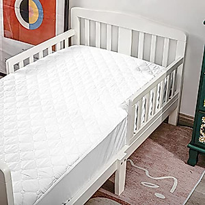 NTBAY 2 Pack Waterproof Mini Crib Mattress Protector, Quilted 24"x38" Fitted Mattress Cover - Machine Washable - Soft and Breathable Baby Mattress Pad Sheet for Mini Crib and Baby Playards, White