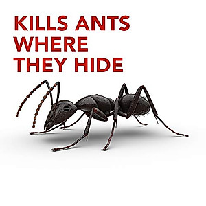 Raid Ant Killer Baits, For Household Use, Child Resistant, 8 Count