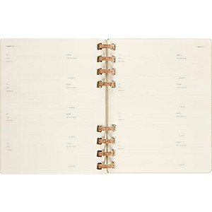 Moleskine 2024 Spiral Academic Planner, 12M, Extra Large, Crush Kiwi, Hard Cover (7.5 x 10)