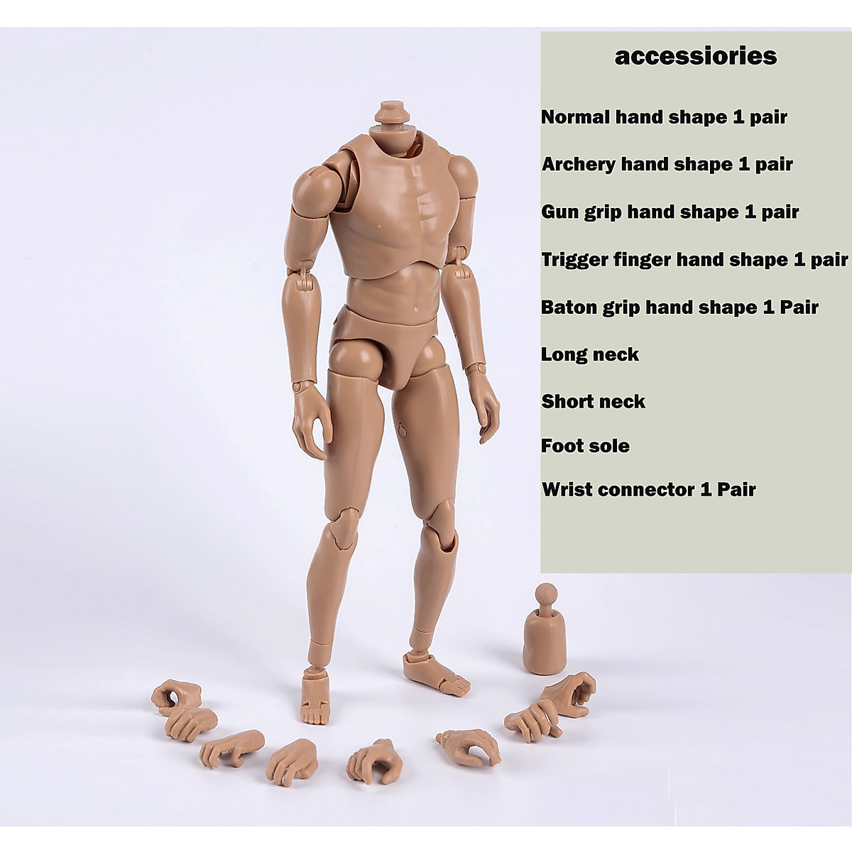 1/6 Scale Narrow Shoulder Male Body Doll Action Figure for TTM18 TTM19 Hot Toys & Human Body Sketch Model