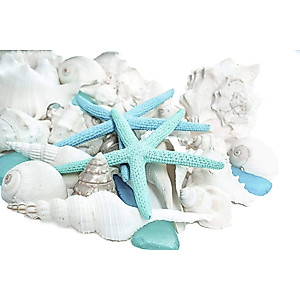 Real Mixed Beach Seashells with Blue & Green Starfish & Aqua and Blue Sea Glass | White Decorative Sea Shell Décor & Blue Seaglass Pieces | Seashell Wedding | Plus Free Nautical eBook by Joseph Rains