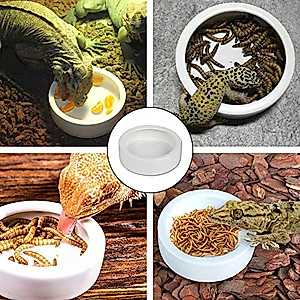 Ceramic Reptile Food and Water Bowl Set of 3,Mini Reptile Feeding Dish,Worm Dish for Lizard Anoles Bearded Dragons(with Tweezer)