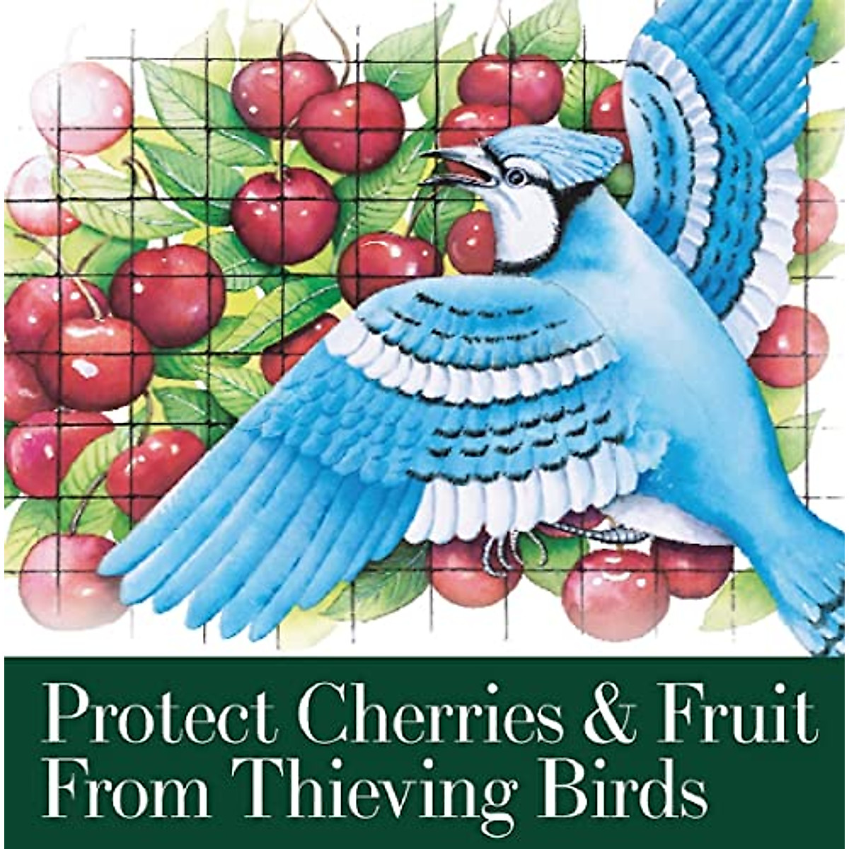 Dalen Bird X Protective Mesh Netting - Keep Birds and Pests Away from Your Garden – Non Toxic - Made in The USA - 14' x 14'