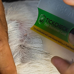 Tick Remover Card - Wallet Sized Tick Removal Tool with Free Tick ID Card & Testing Information - for People, Dogs, Cats (1 Pack)