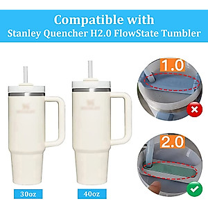 Damorr Spill Stoppers for Stanley 40 oz / 30 oz | Replacement Stanley Cup Accessories | Spill Stopper Compatible with Stanley Quencher H2.0 Tumbler
