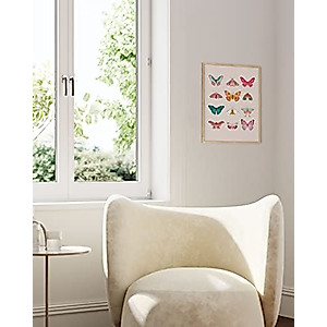HAUS AND HUES Vintage Butterfly Posters & Butterfly Prints - Butterfly Poster Vintage Butterfly Art Wall Decor & Butterfly Art Prints Monarch Butterfly Wall Art & Butterflies Print UNFRAMED (12"x16")